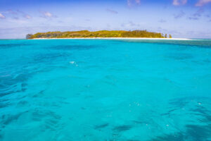 Lady Musgrave Island - En dag i et snorkelparadis! | A World to Explore