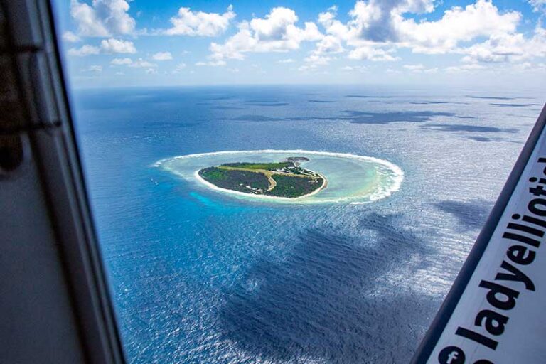 Lady Elliot Island - En uvirkelig paradisø i Great Barrier Reef